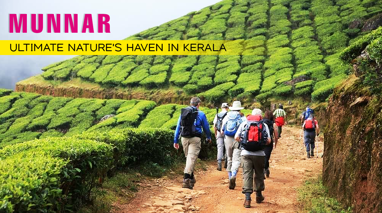 Thrilling activities to do in Munnar of God’s Own Country – Kerala ...