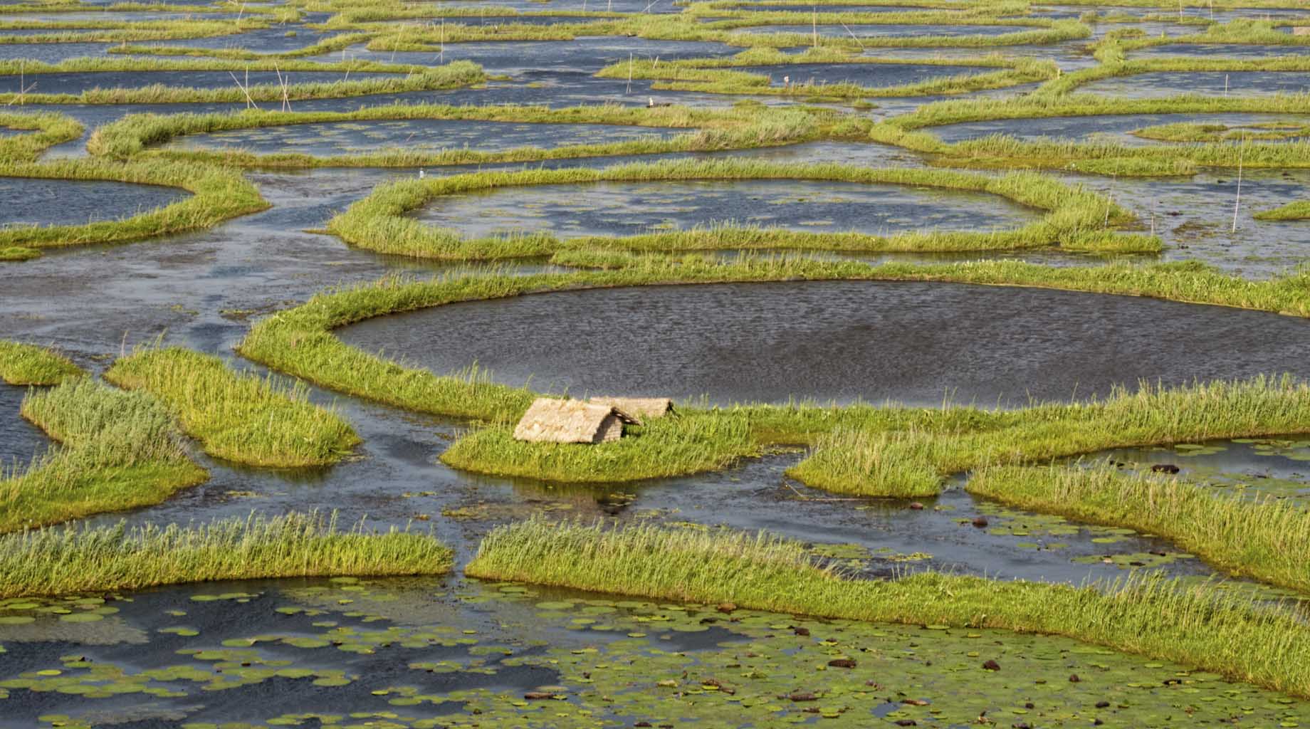The Floating Paradise of India in Manipur – Loktak Lake - Gets Holidays ...